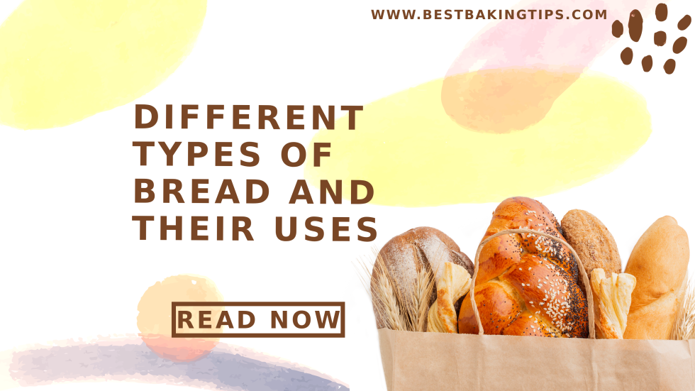 Different Types of Bread and Their Uses - Best Baking Tips